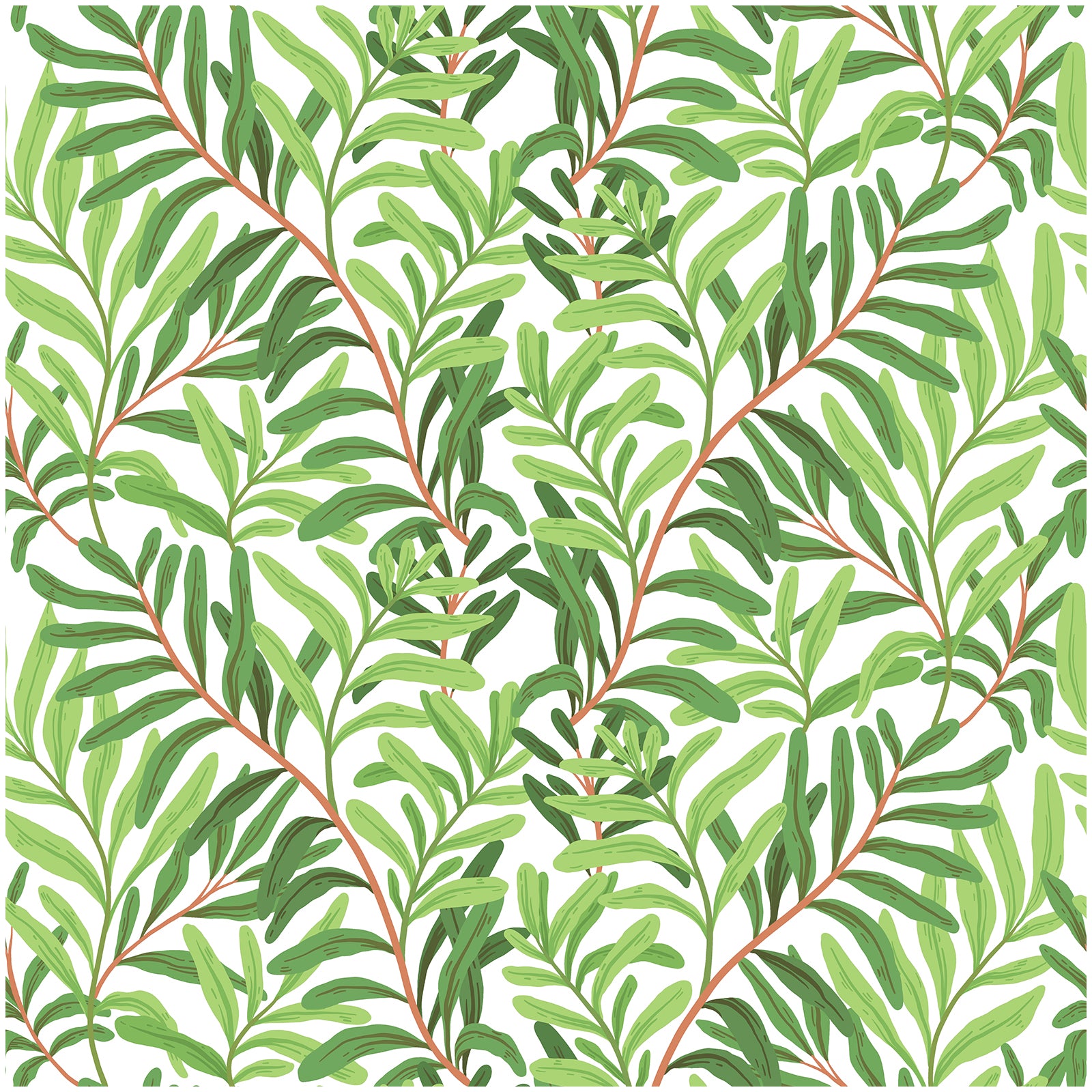 leaf wallpaper white background