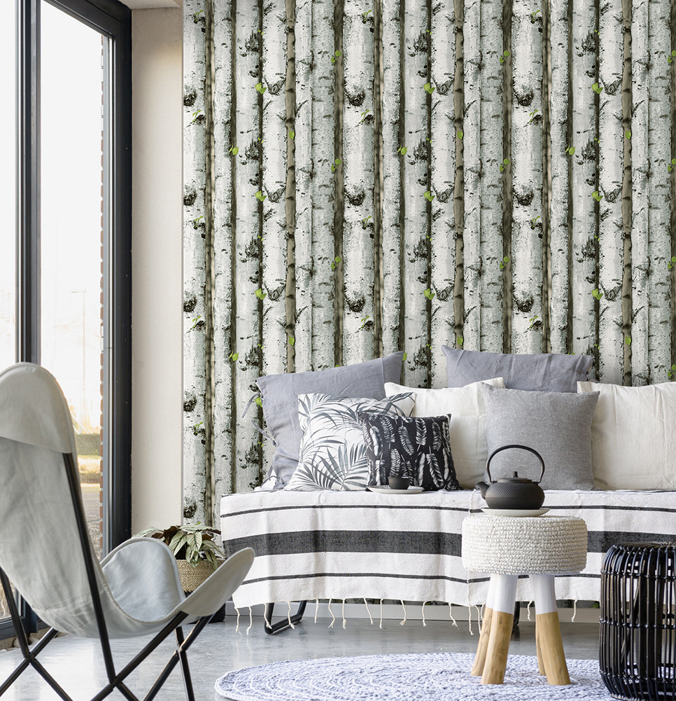 birch tree wallpaper border