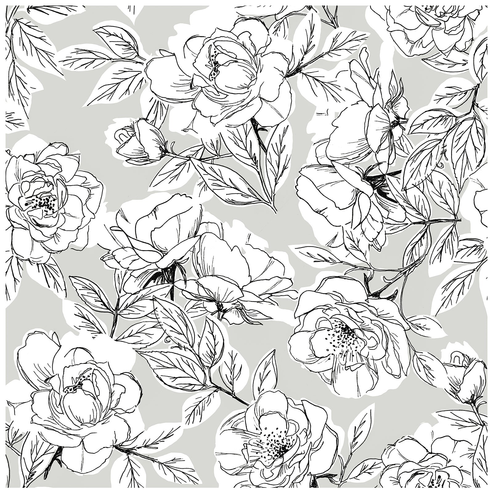 Line Art Floral Wallpaper with Sage Green Background
