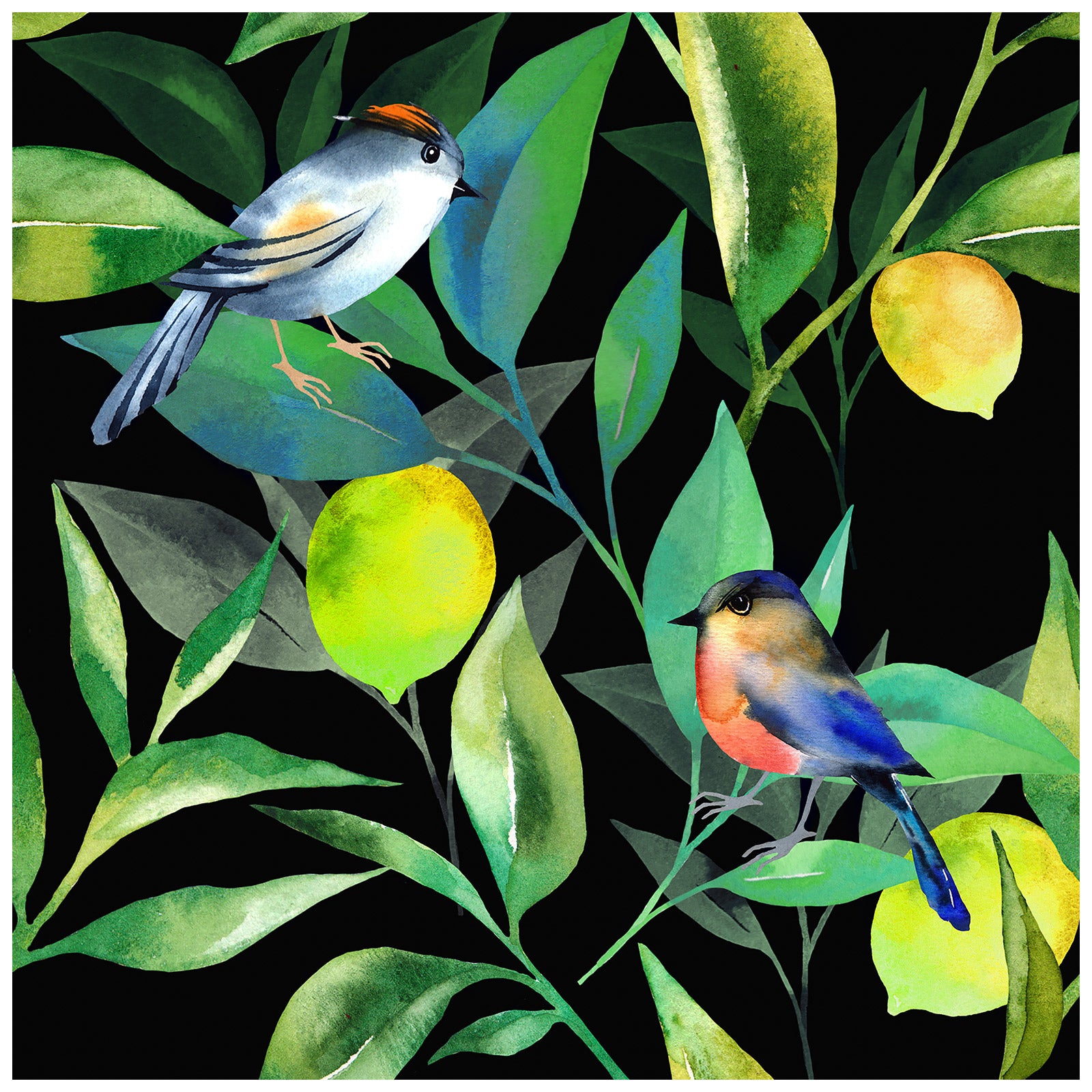 Tropical Birds and Lemon Tree Wallpaper with Black Background